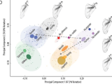 A Guide To Principal Component Analysis Pca For Machine 50 Off