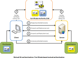 Tls Certificate Authentication Between Apps Information Security