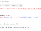 How Can I Avoid A Bad Request Invalid Hostname Error When Making A