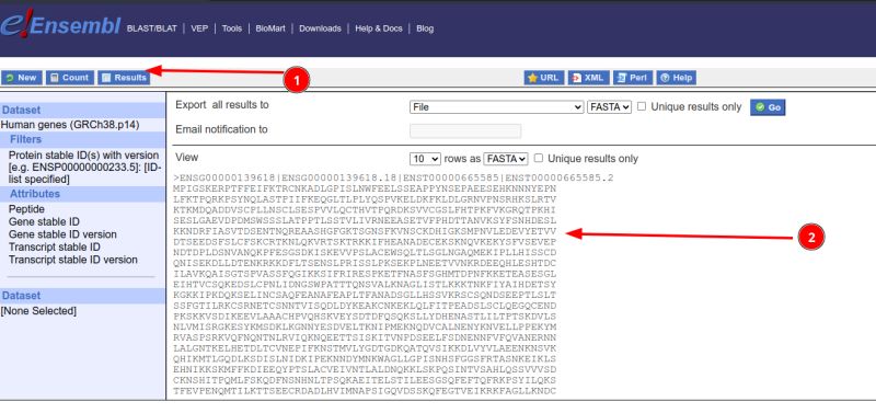 Popularity Contest Make A Scalable Christmas Tree Code Golf Stack - Beautiful Gradient Picture - 8K