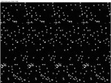 Image Processing Creating A Tiff Stack From Individual Tiffs In