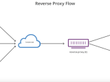 Forward Proxy Vs Reverse Proxy Copaxteacher