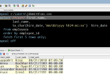 Debugging Testing Sql Query On Oracle Sql Developer Beginner