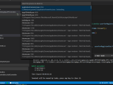C Net Core Web Api Project Can T Debug With Visual Studio Code