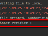 Python Tkinter Enter Verifier In Console Requires Passing Input