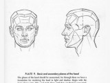 Sketching Planes Of The Head Loomis Method Arts Crafts Stack