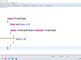 Java Can T Reassign Final Variable In Constructor For Inherited Class