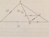 Understanding Parallel Vectors
