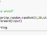 Python Spyder Just Kernel Died Restarting When I Run Net Forward In