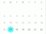 Datepicker How To Remove The Top Bar From Flutter Date Picker Stack