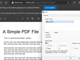 Application X Google Chrome Pdf Selenium At Robert Connors Blog