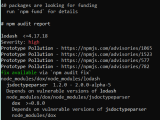 Javascript How To Fix Npm High Severity Vulnerabilities Pollution