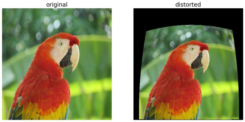 Python Image Processing Converting Normal Pictures Into Fisheye - Colorful Backgrounds - Premium Mobile Collection