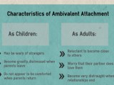 Terminology Classification Of Attachment Styles Psychology