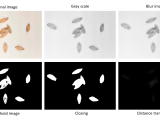 Seeds Segmentation In Opencv Python Stack Overflow