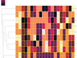 Data Visualization Rearranging The Columns Of My Heatmap Using Python