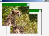 Internal Frames In Javafx Stack Overflow
