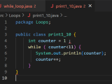 I Am Running Java Code And My While Loop File Is Not Running In Vs Code