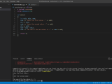 Visual Studio Code C Output Window Not Working As Expected Stack