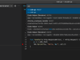 Debugging Debug A Go Application On Visual Studio Code Stack Overflow