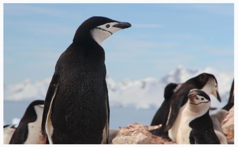 Android View Outline Using A Custom Path Stack Overflow - Premium Colorful Pattern Gallery - 4K