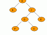 Data Structures Difference Between Complete Binary Tree Strict