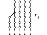 Evolution Coalescent Theory Independence Of Coalescent Times