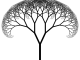 Turtle Graphics Drawing A Fractal Tree In Python Not Sure How To