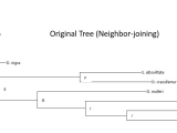 Algorithm Comparing Two Trees To See If They Are The Same Stack