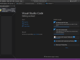 Visual Studio Code Pixels Turn White Stack Overflow