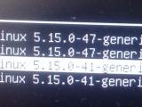 Boot Linux Mint 5 15 0 47 Generic Error Out Of Memory When Booting