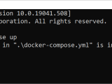 Docker Redis Version 6 0 8 In Docker Compose Yml Is Invalid