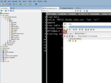 In Oracle Sql Developer Can You Pop Out Query Results Script Output