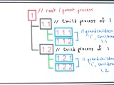 Using Fork And Execlp To Create Process Hierarchy In C Stack Overflow