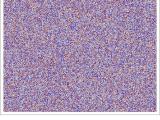 Plotting Legend Placement Explanation Mathematica Stack Exchange