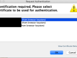 Ssl Java How To Request Users Pki Cert Automatically From Browser