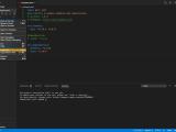 Bash Unable To Run A Dart Program Inside Vs Code Stack Overflow