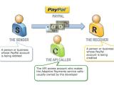 Paypal Adaptive Payment Flow On React Native Stack Overflow