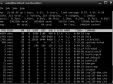 Python Regarding How To Measure Memory Usage On Raspberry Pi For A