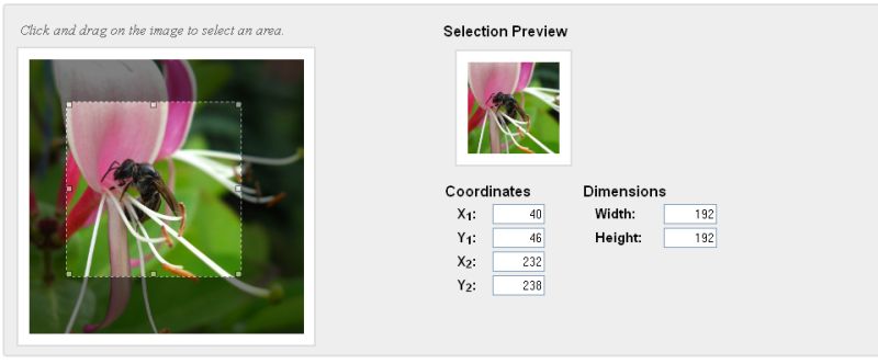 Javascript Select Different Image For Canvas Background Stack Overflow - Elegant Geometric Art - Mobile