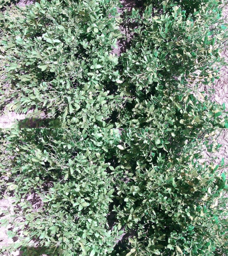 Python Blending Concatenated Images Stack Overflow - Best Nature Textures in Desktop