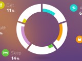Jquery Highcharts Double Donut Chart Donut Within Donut Stack Overflow