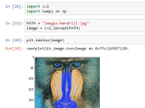 Python Matplotlib Imshow Why Is Img Color Distorted Stack Overflow