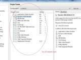 Java Jsf Related Project Facets Not Appearing In Eclipse Juno Stack