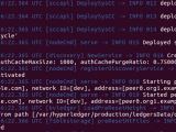 Hyperledger Fabric Successfully Opened Test Network But Deploying