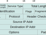 Ethernet Network Byte Order Network Engineering Stack Exchange