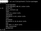 Python Unable To Import Pysftp Paramiko Through Aws Lambda Facing