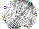 Python Networkx Cluster Nodes In A Circular Formation Based On Node