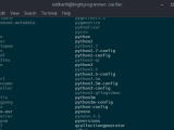 Debian Python Pip Importerror Cannot Import Name Main Unix