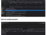 Node Js I Cannot Save Httponly Cookie With Post Request With Nodejs